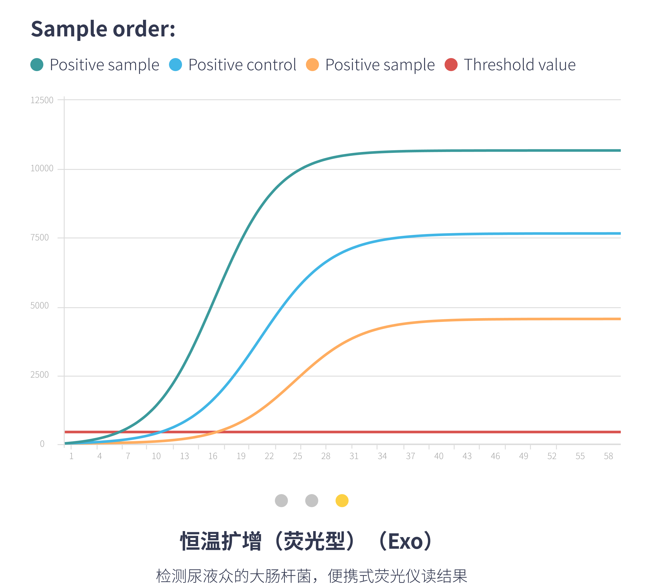 Primer design for RPA